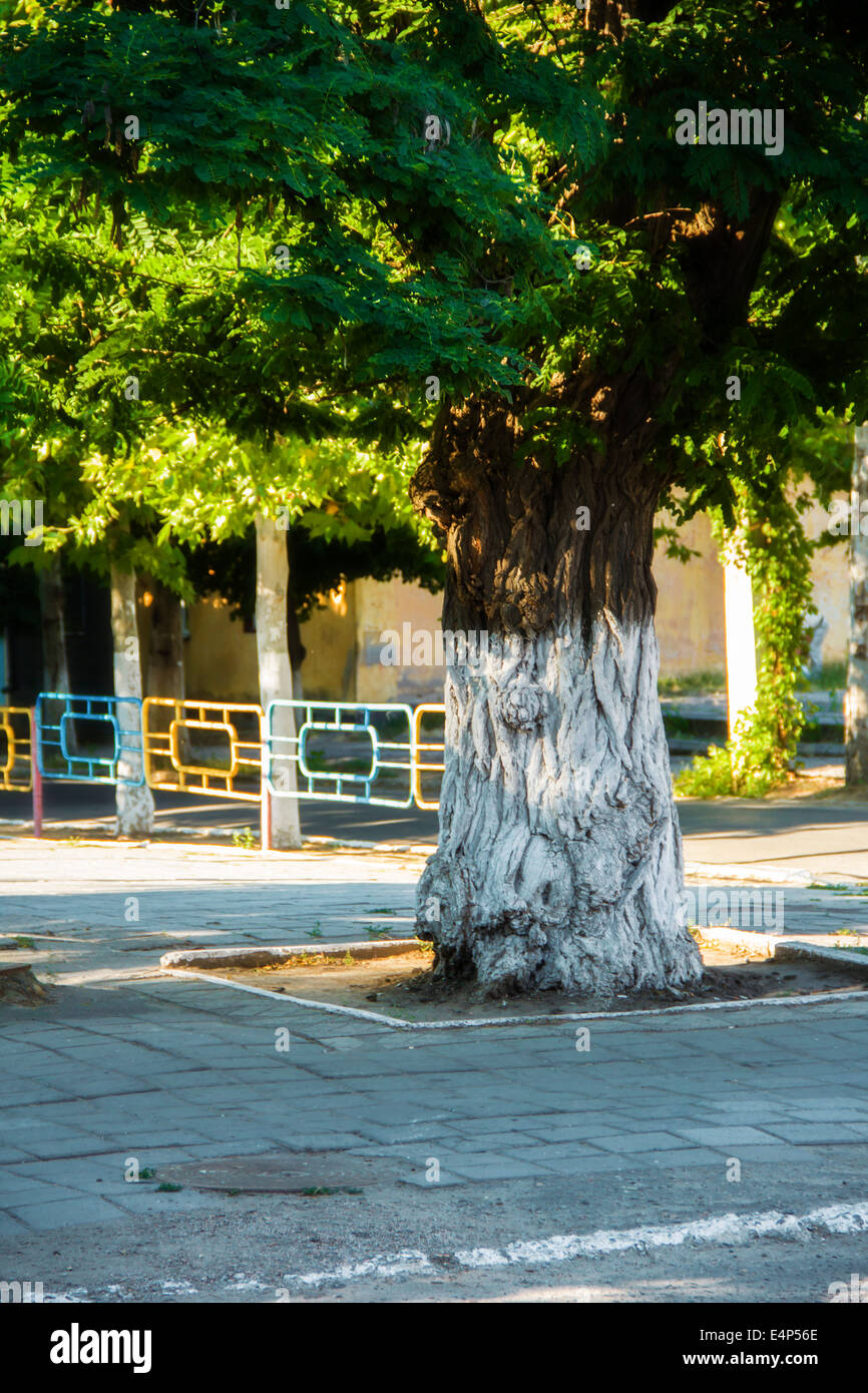 streen in small town Stock Photo - Alamy