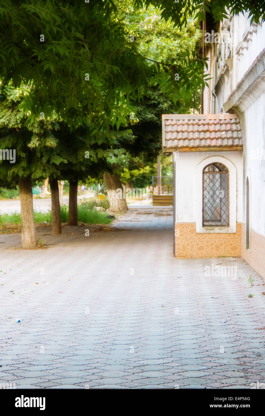 Small street tree hi-res stock photography and images - Alamy