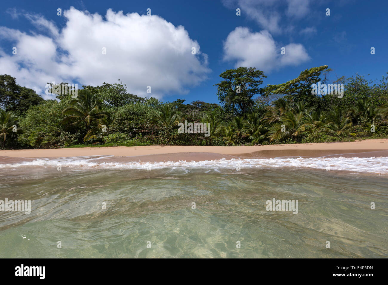 Playa Bluff. Isla Colon. Colon island. Bocas del Toro Stock Photo - Alamy