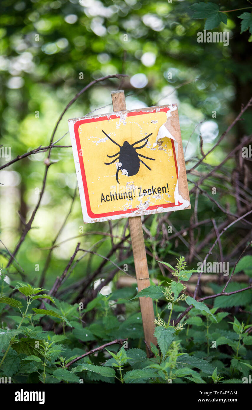 Warning sign in a forest hi-res stock photography and images - Alamy
