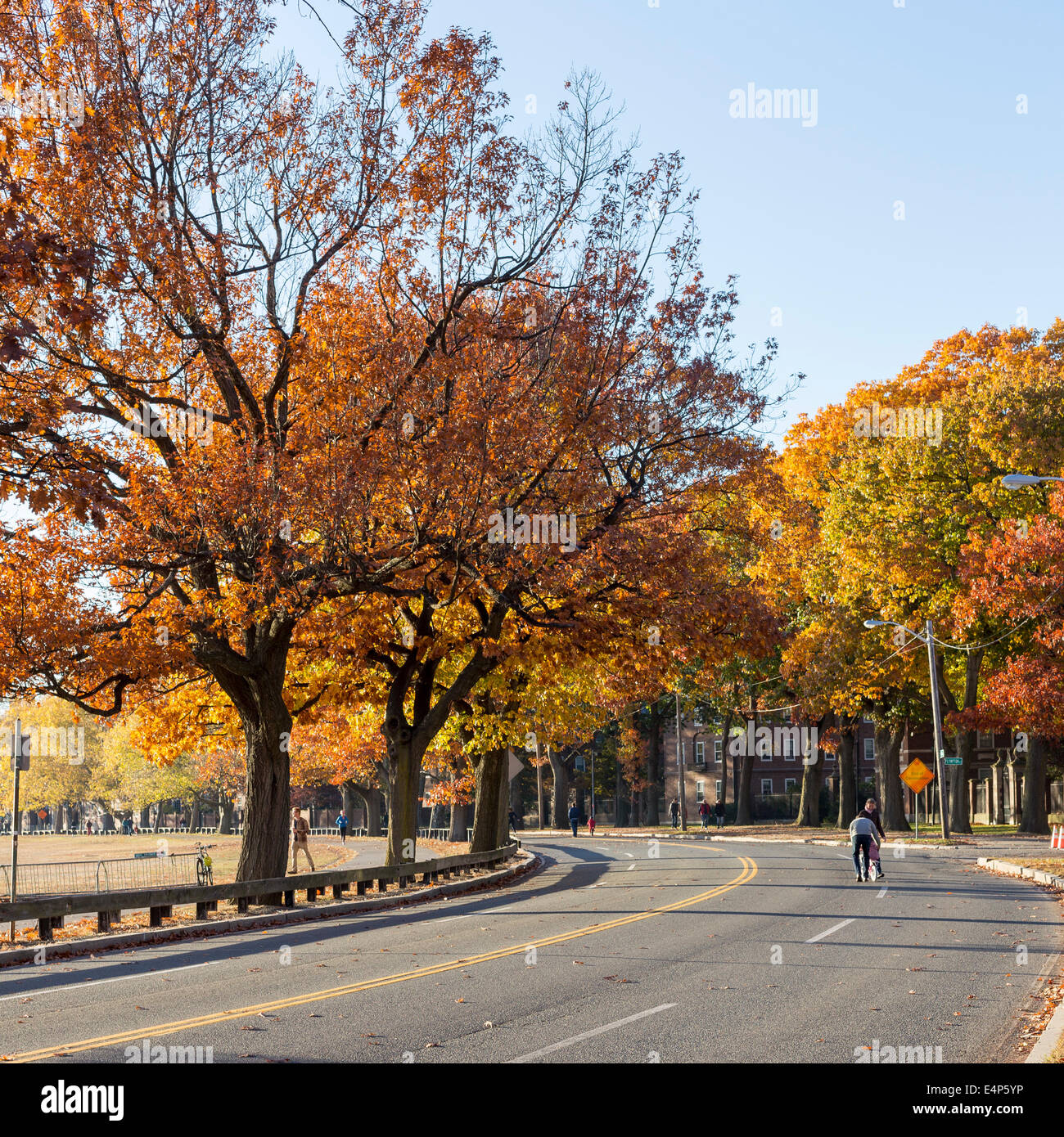 Harvard university campus on autumn hi-res stock photography and images ...