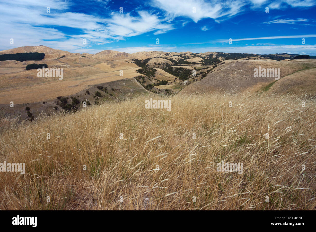 New zealand cape kidnappers coastline hi-res stock photography and ...