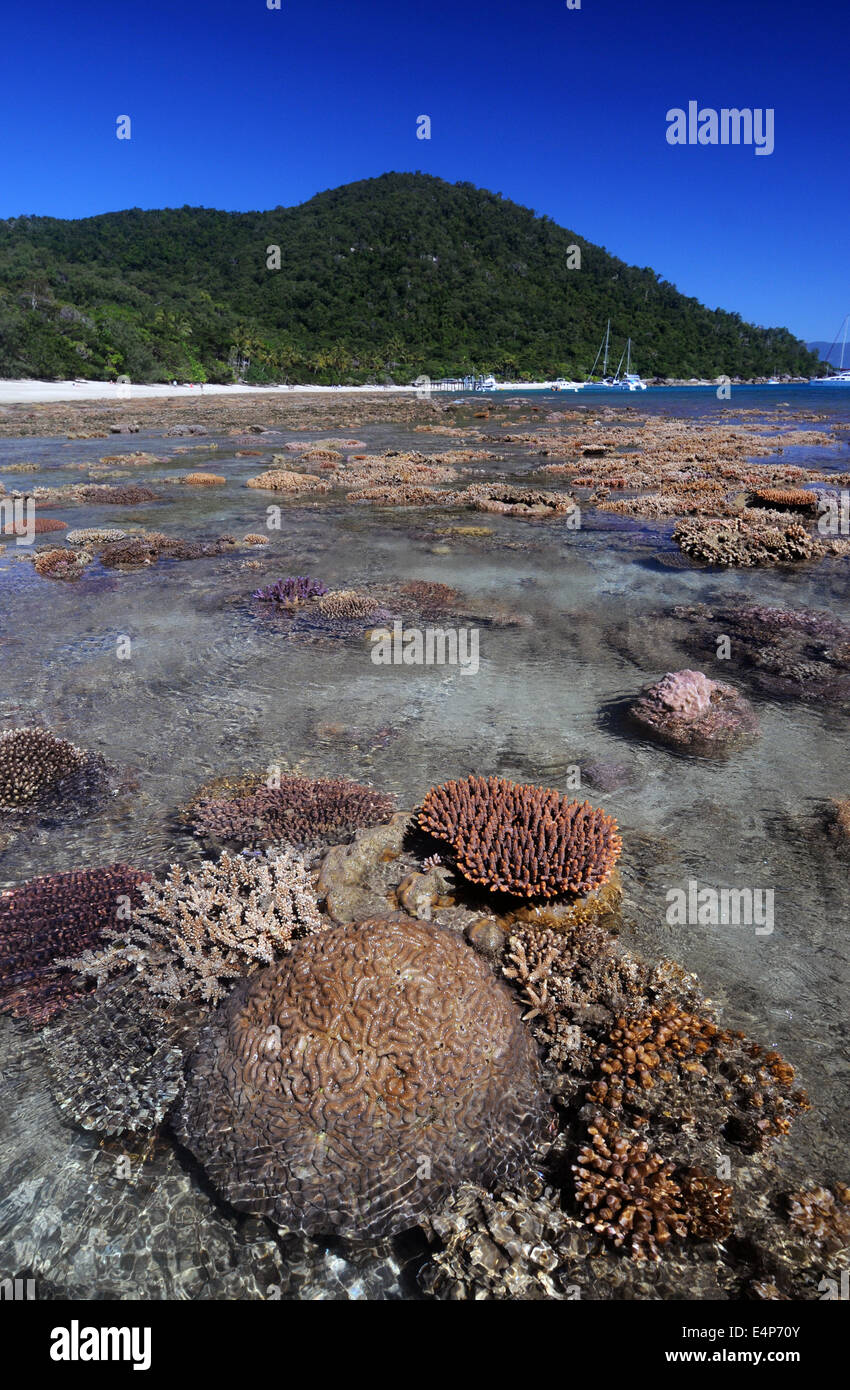 Fringing Reef High Resolution Stock Photography and Images - Alamy
