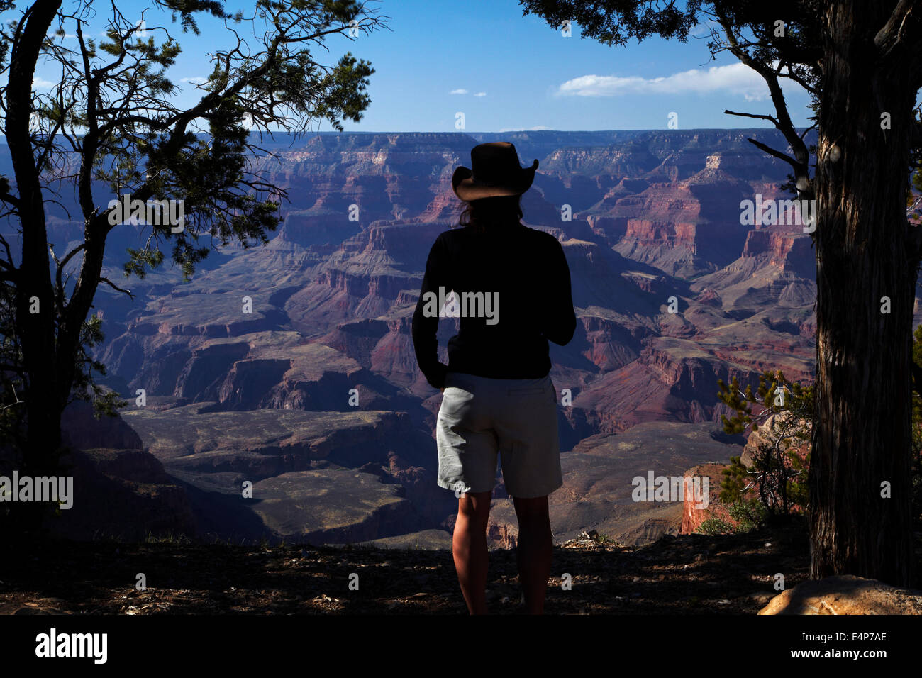 Woman Viewing Grand Canyon From South Rim Trail Grand Canyon National