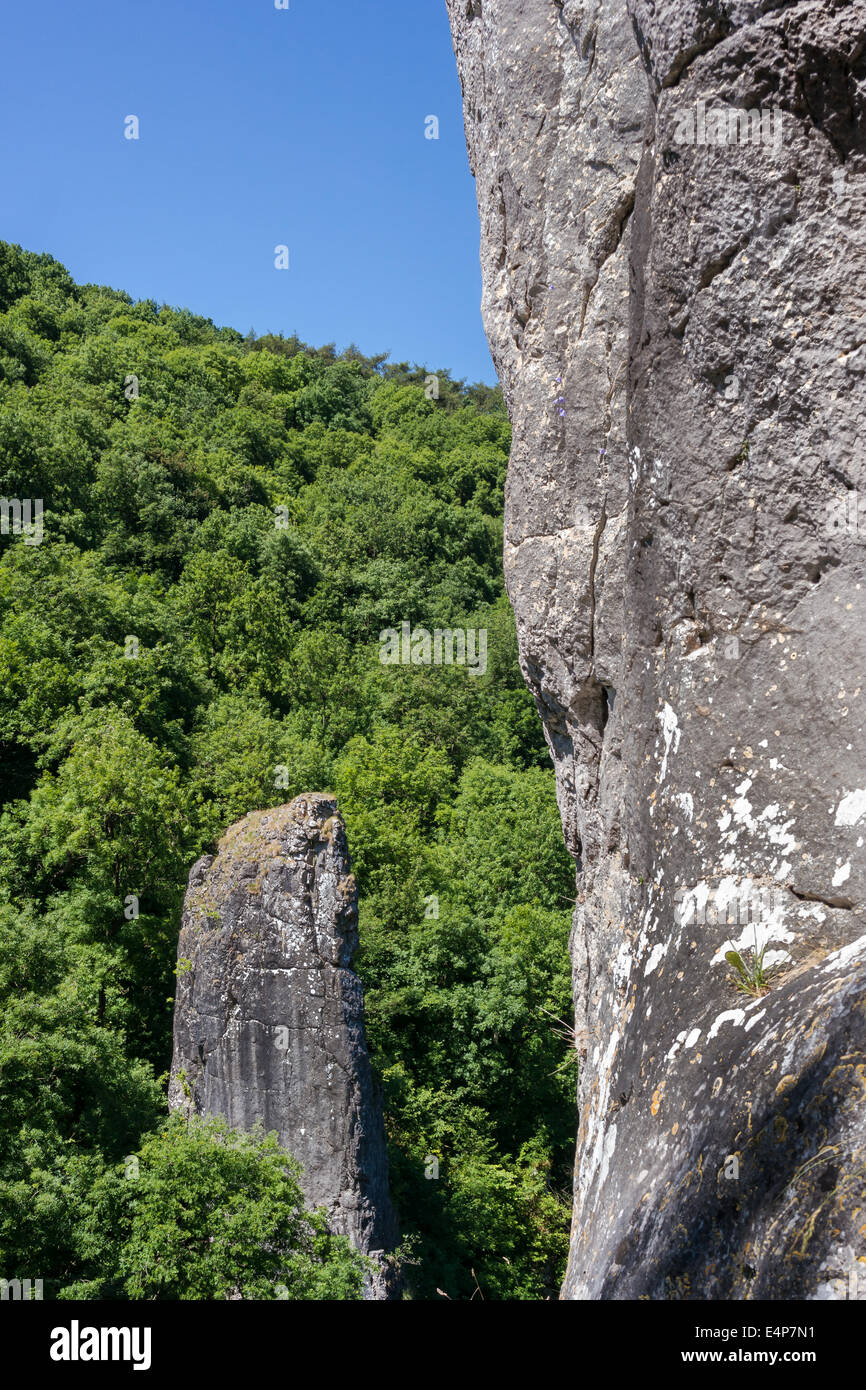 Dovedale wood, Peak District, UK Stock Photo - Alamy