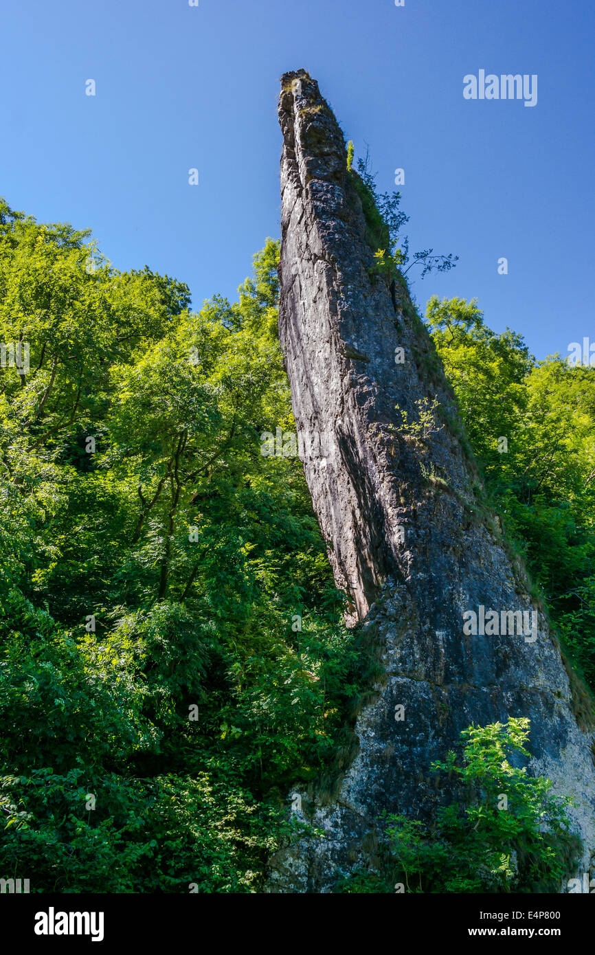 Dovedale wood, Peak District, UK Stock Photo - Alamy