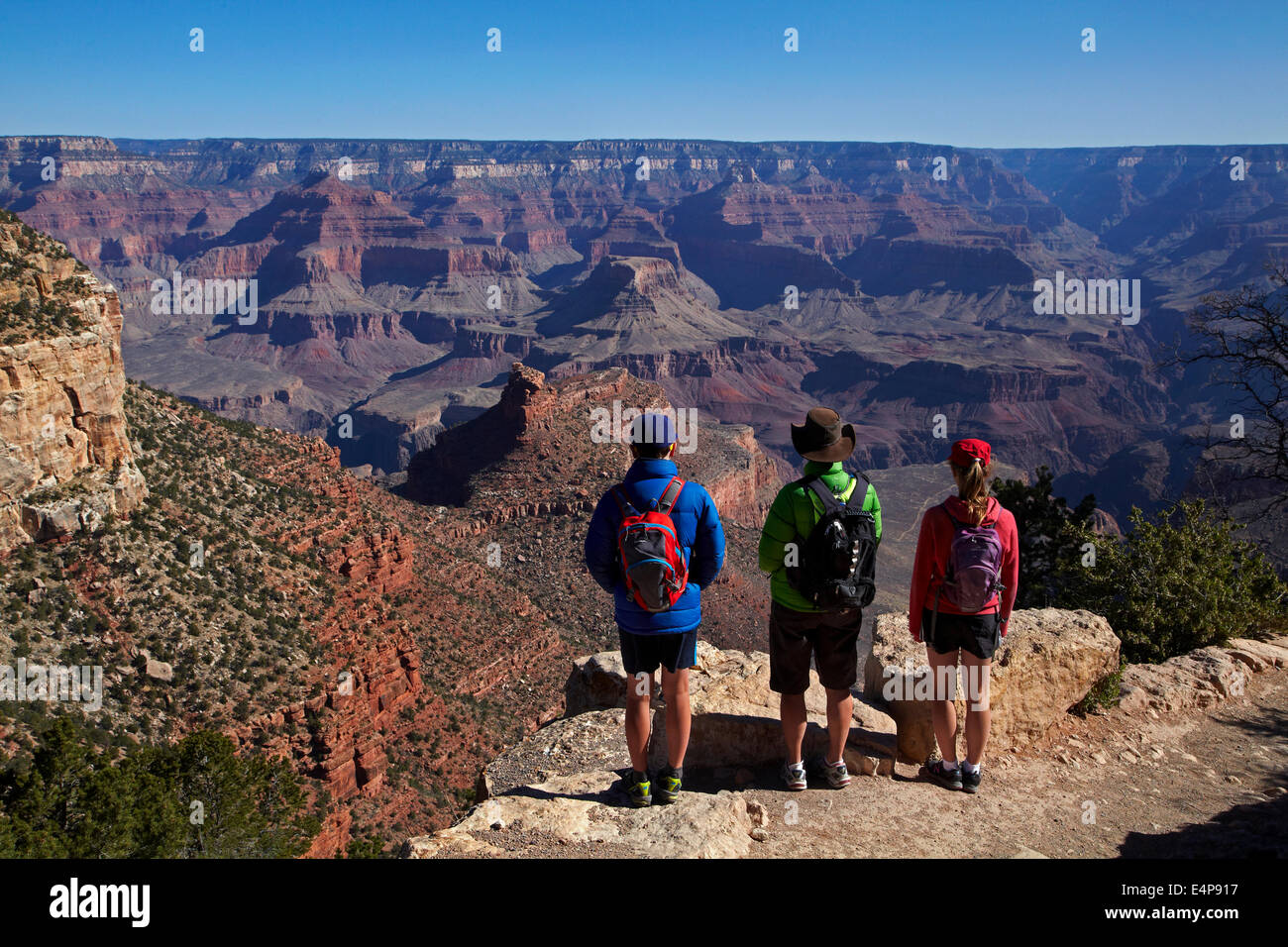 People hiking Bright Angel Trail, South Rim, Grand Canyon, Grand Canyon ...