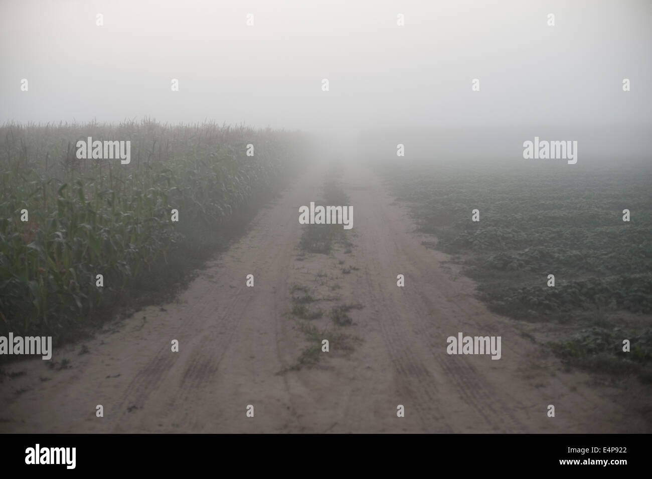Back road agriculture field hi-res stock photography and images - Alamy