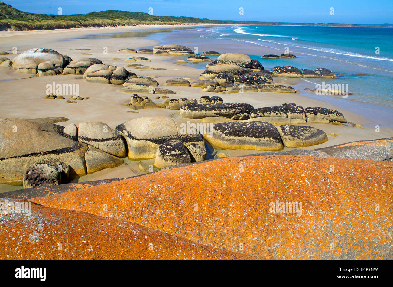 West Telegraph Beach on Three Hummock Island Stock Photo - Alamy