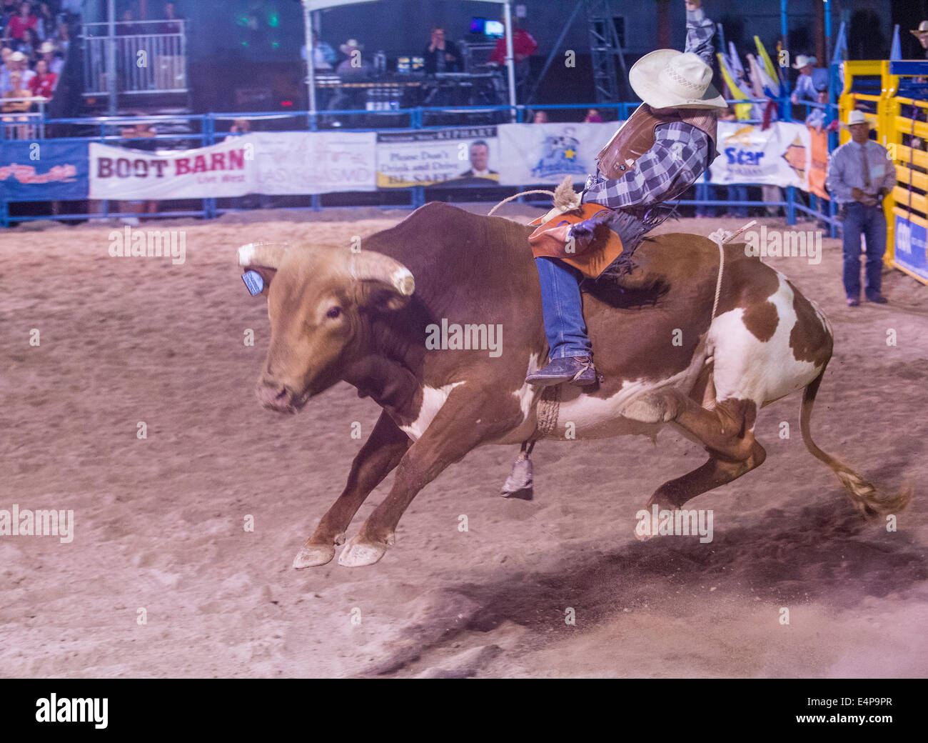 Cowboy Participating in a Bull riding Competition at the Helldorado ...