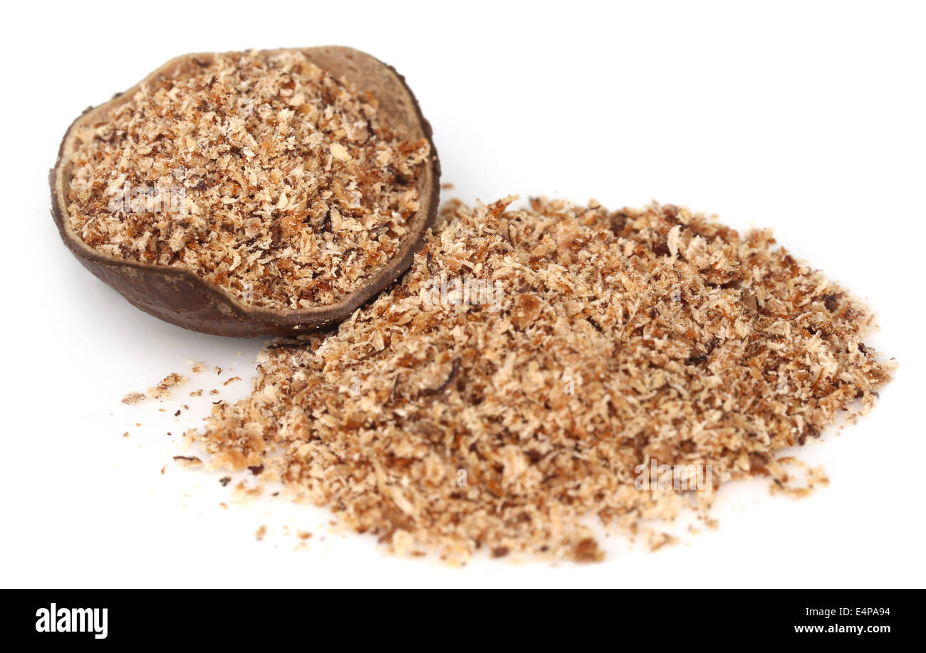 Nutmeg or Jaifal Spice over white background Stock Photo - Alamy