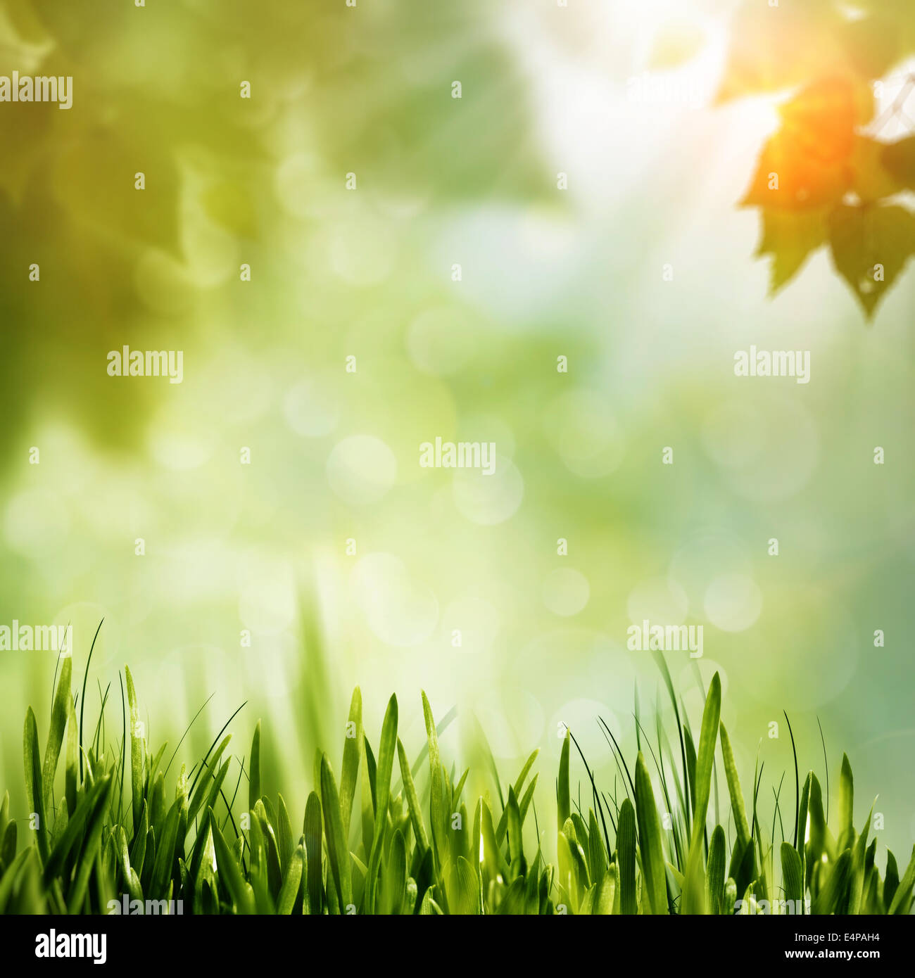 Green Nature, abstract environmental backgrounds for your design Stock ...