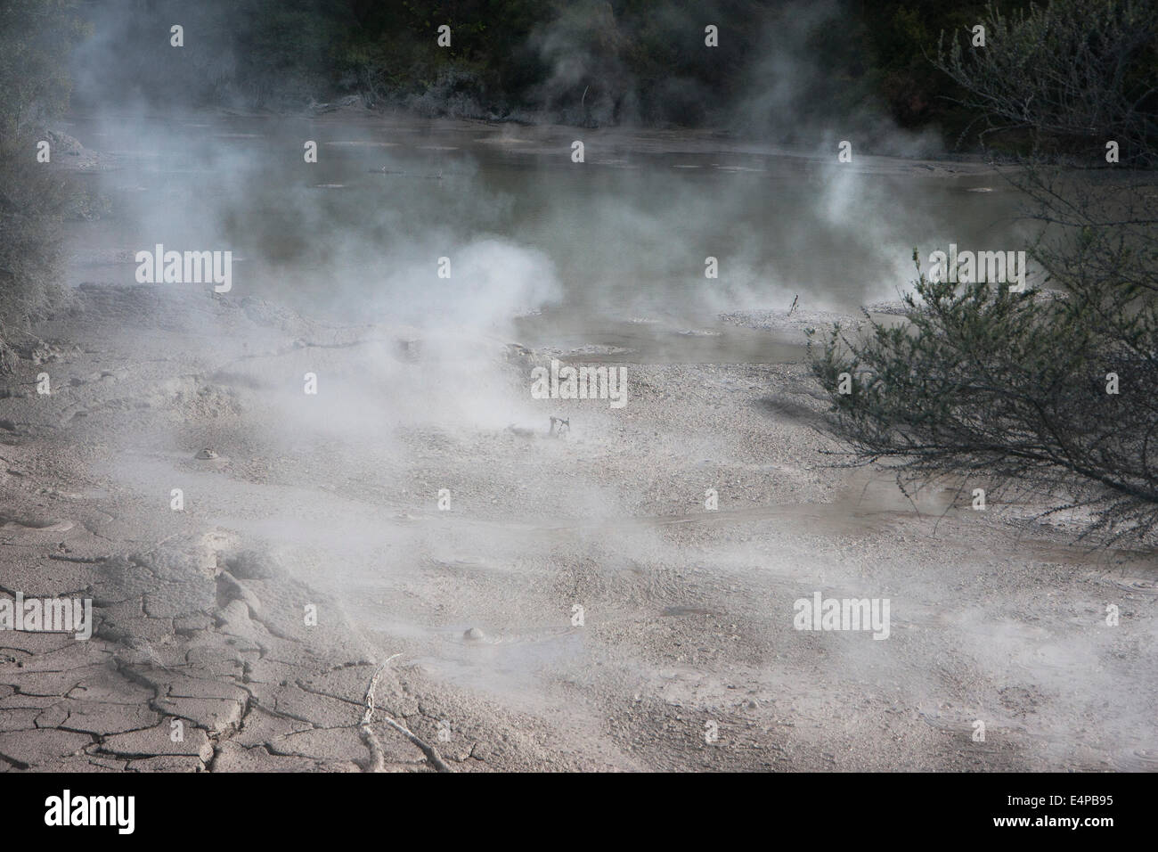 Dense clouds of steam floating over the boiling mud Stock Photo - Alamy