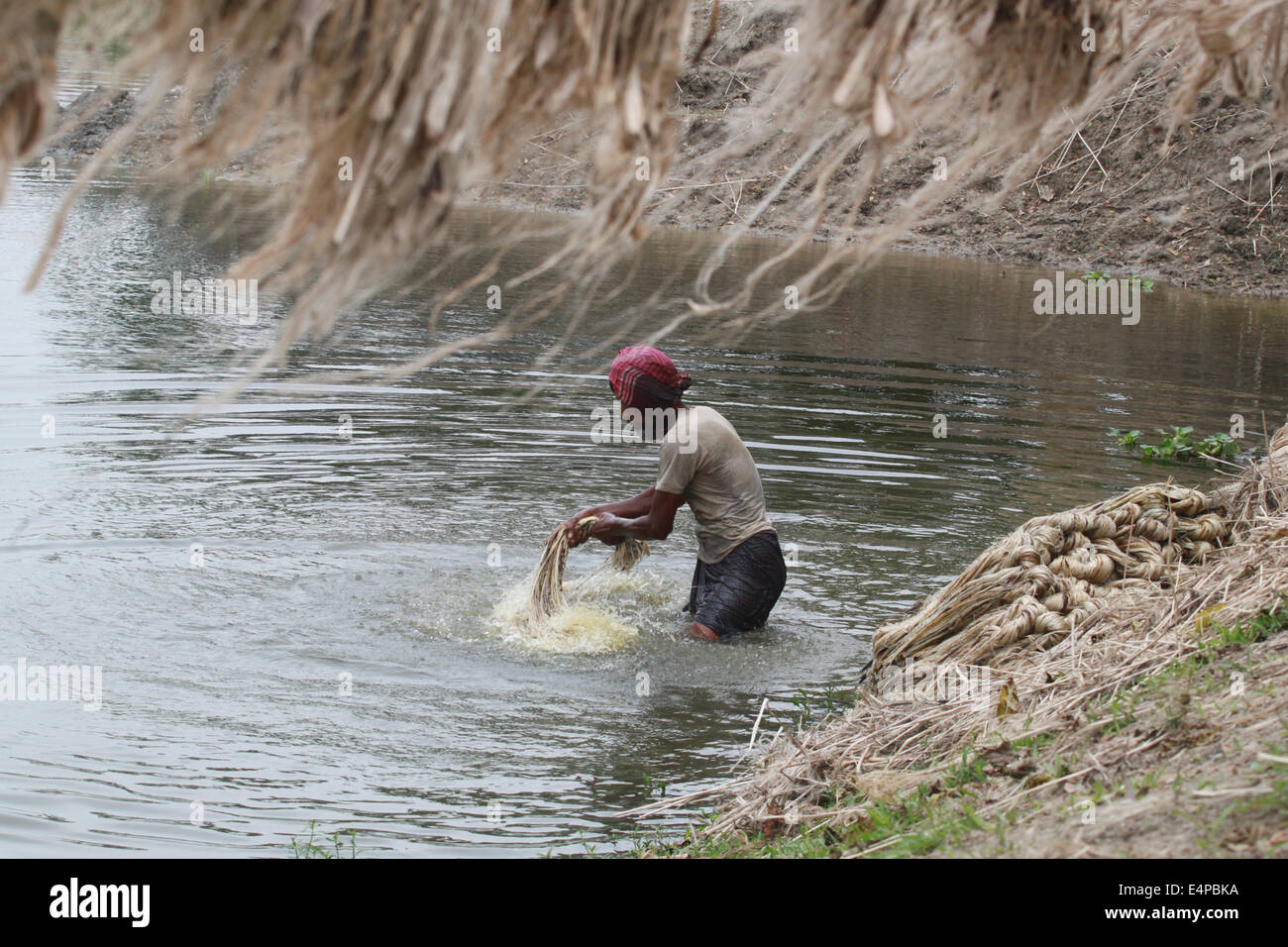 Jute process in bangladesh hi-res stock photography and images - Alamy