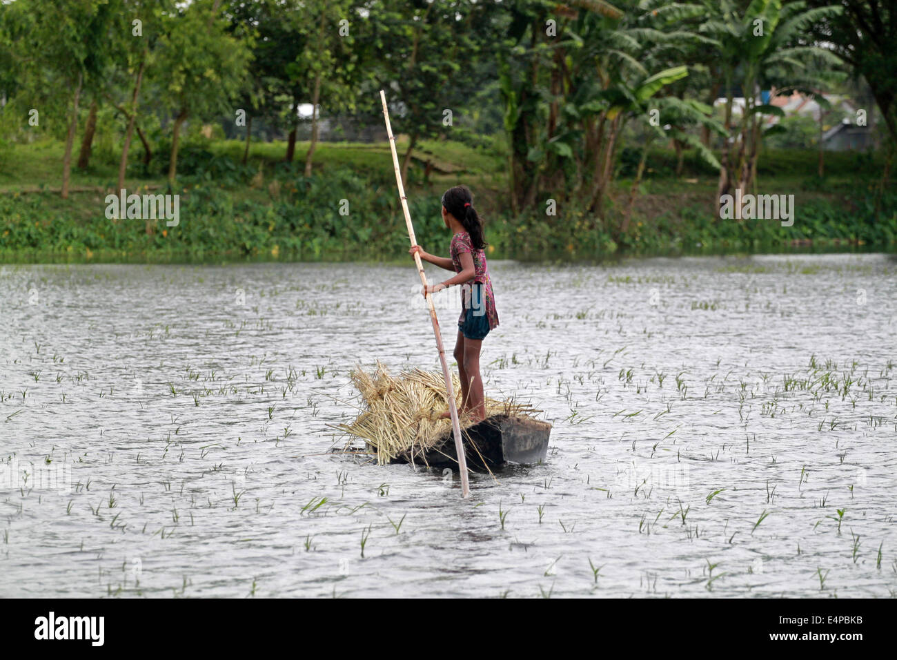 Jute bangladesh girl not child hi-res stock photography and images - Alamy