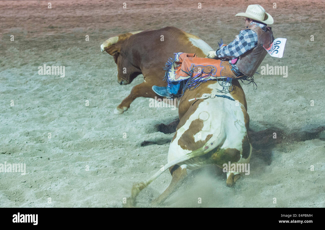 Cowboy Participating in a Bull riding Competition at the Helldorado ...