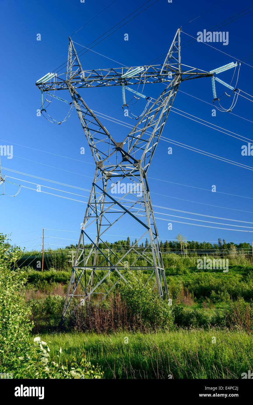 Power Line Tower Stock Photo Alamy power-line-tower-stock-photo-alamy