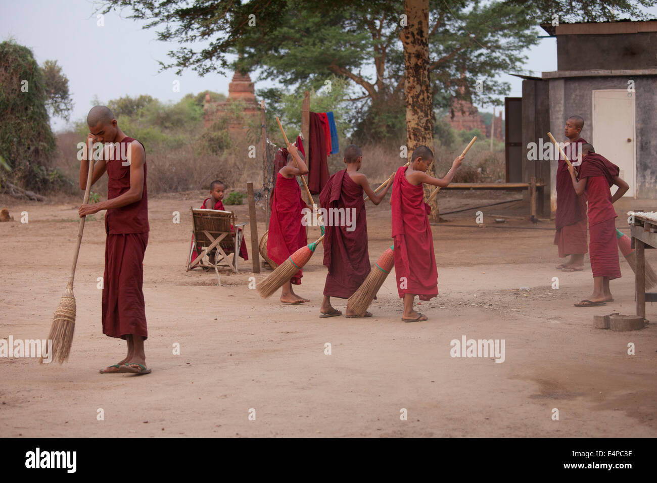 Monks at monastery in Bagan, Myanmar, use brooms to sweep trash and ...