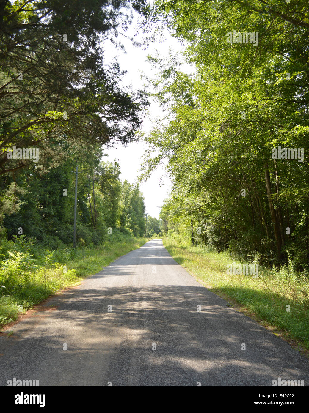 Alabama road hi-res stock photography and images - Alamy
