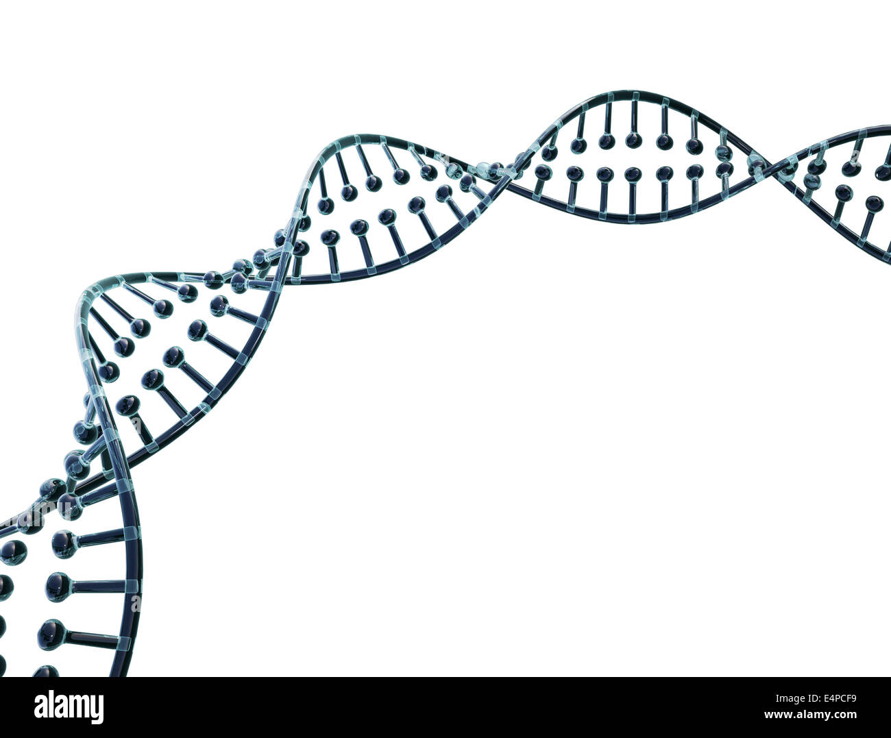 Glass DNA string isolated on white background Stock Photo - Alamy