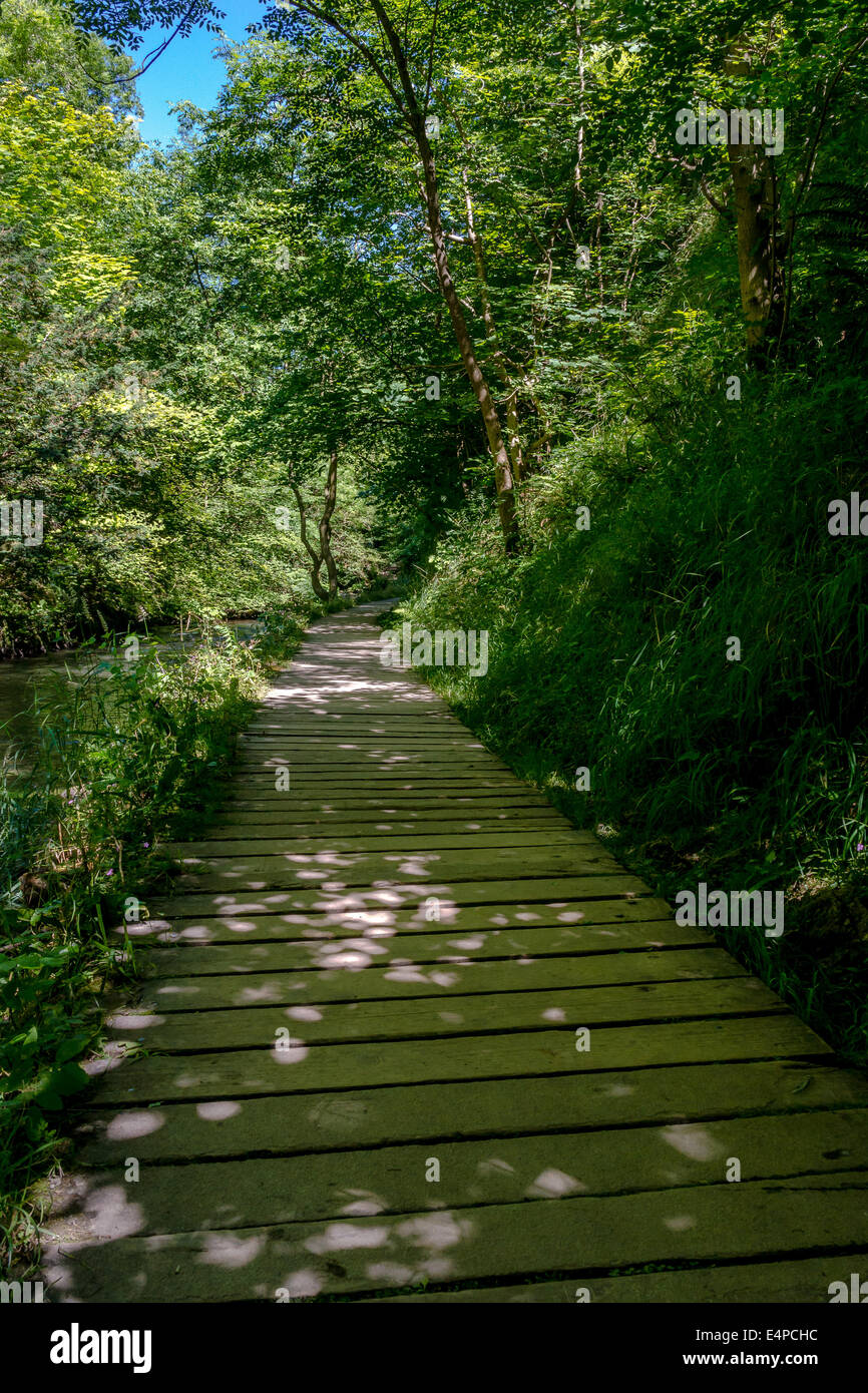 Wood that peak hi-res stock photography and images - Alamy