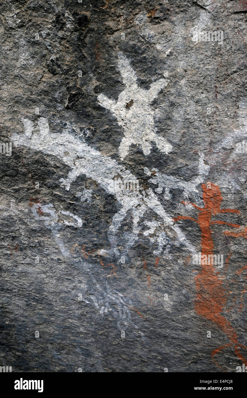 Australian aboriginal rock art featuring kangaroos, turtles and other ...