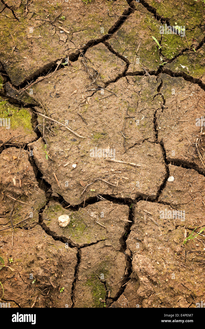 Rough soil hi-res stock photography and images - Alamy