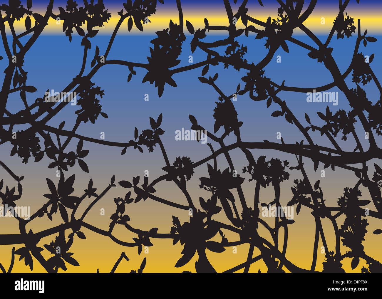 Shadow of Leaves Virtual Sunset Background Vector Stock Photo - Alamy