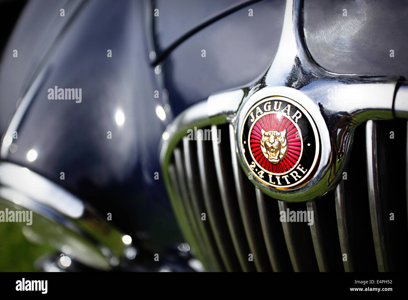 Jaguar car emblem hi-res stock photography and images - Alamy