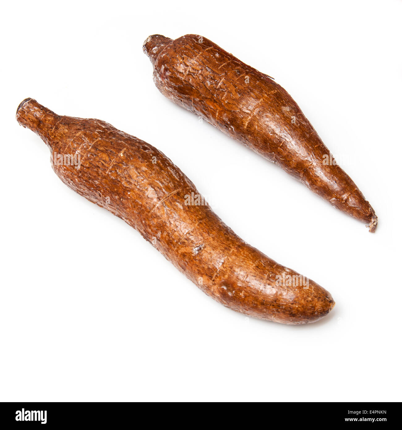 Cassava or Manioc roots (Manihot esculenta) isolated on a white studio ...