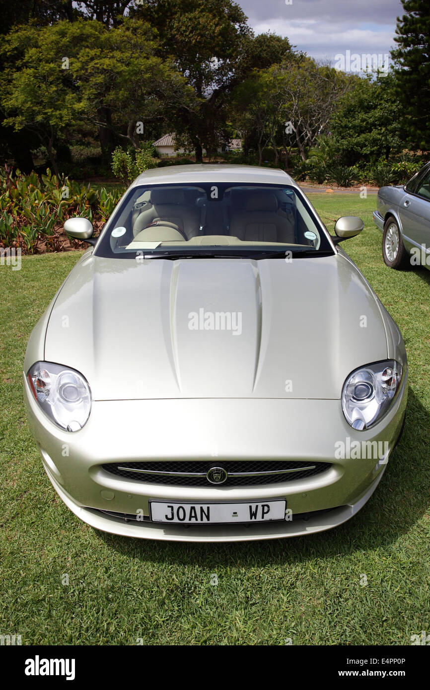 Gold Jaguar XK grand tourer Stock Photo - Alamy