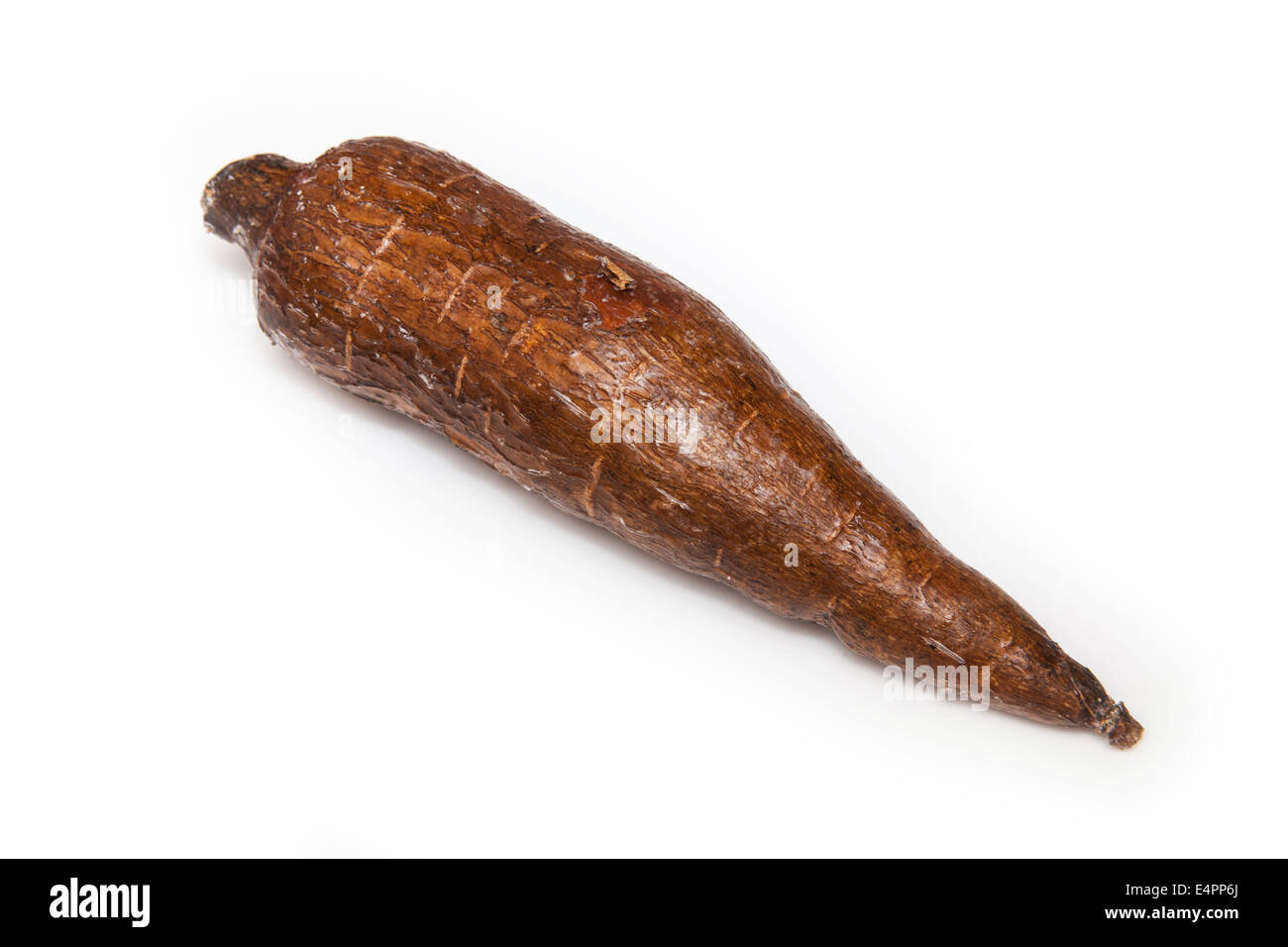 Cassava or Manioc roots (Manihot esculenta) isolated on a white studio ...