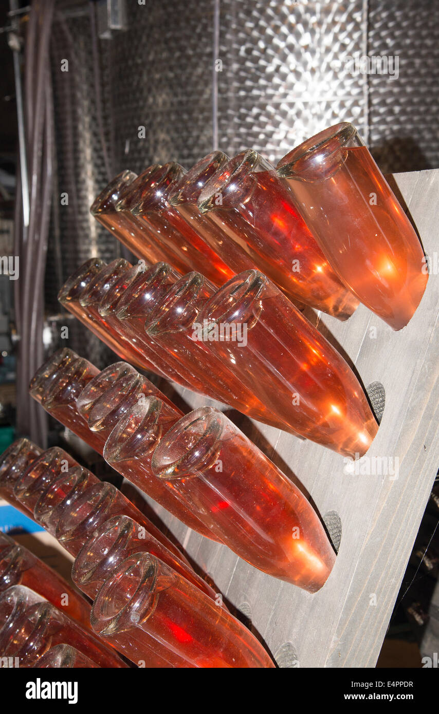 Rose sparkling wine fermenting in bottles. Racked. English wine Stock ...