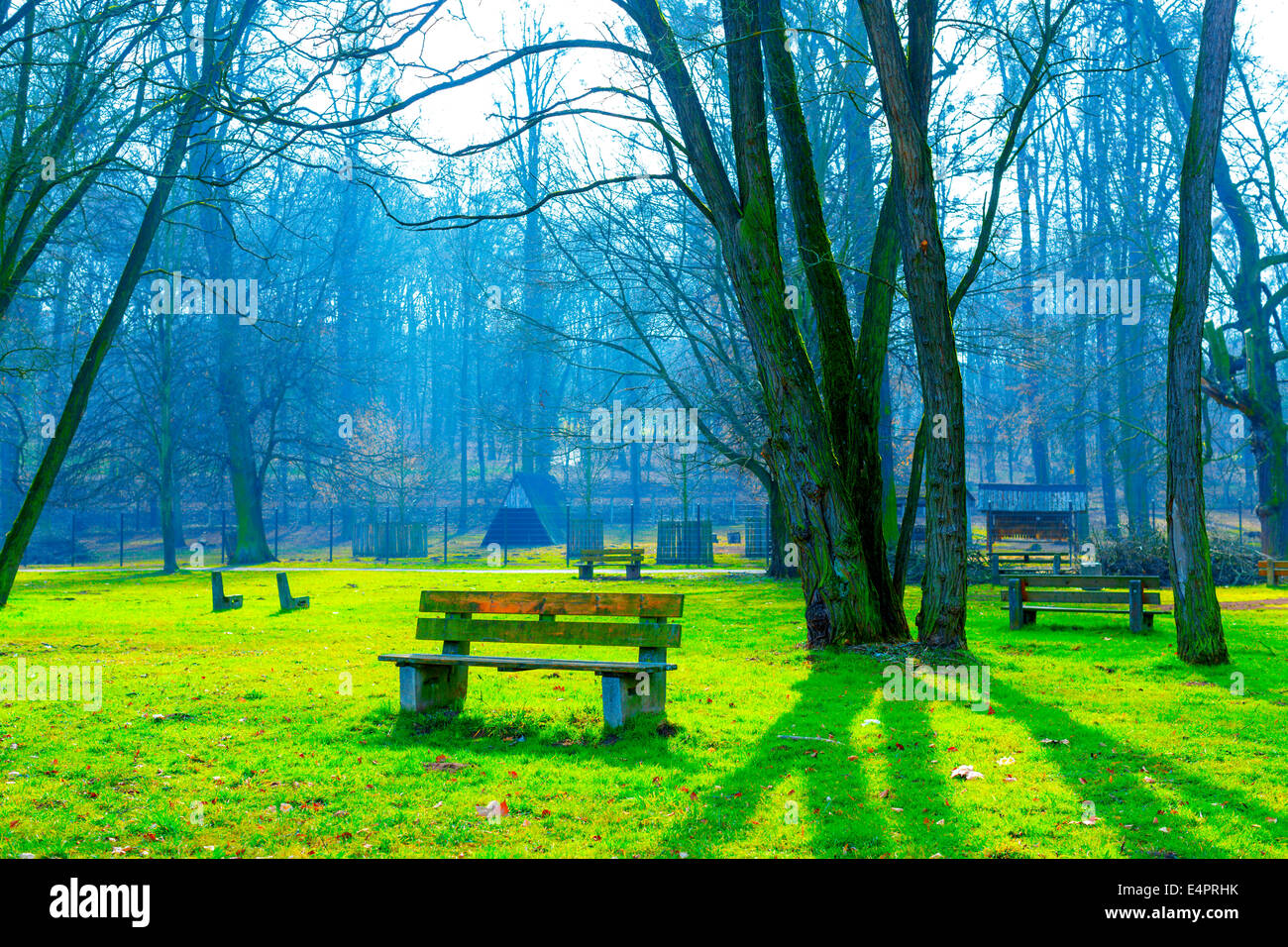 Park green grass bench hi-res stock photography and images - Alamy