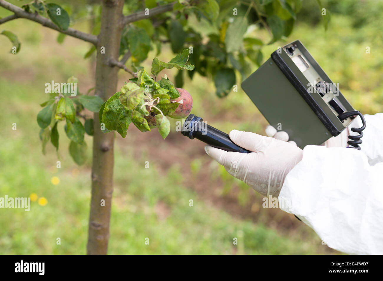 Radiation measuring instrument hi-res stock photography and images - Alamy