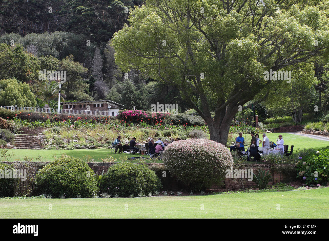 Picnic under tree hi-res stock photography and images - Alamy