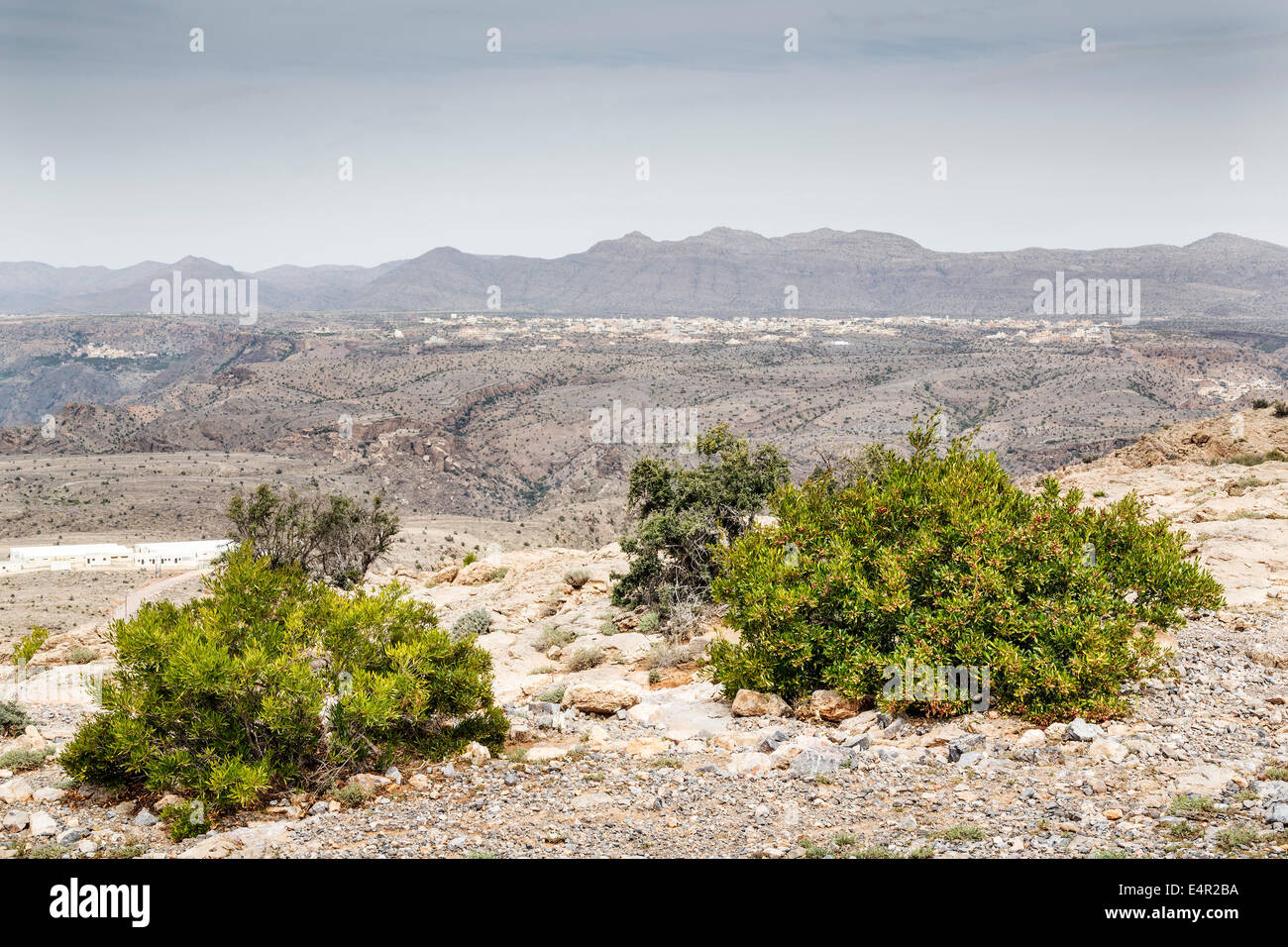 Jebel akhdar hi-res stock photography and images - Alamy