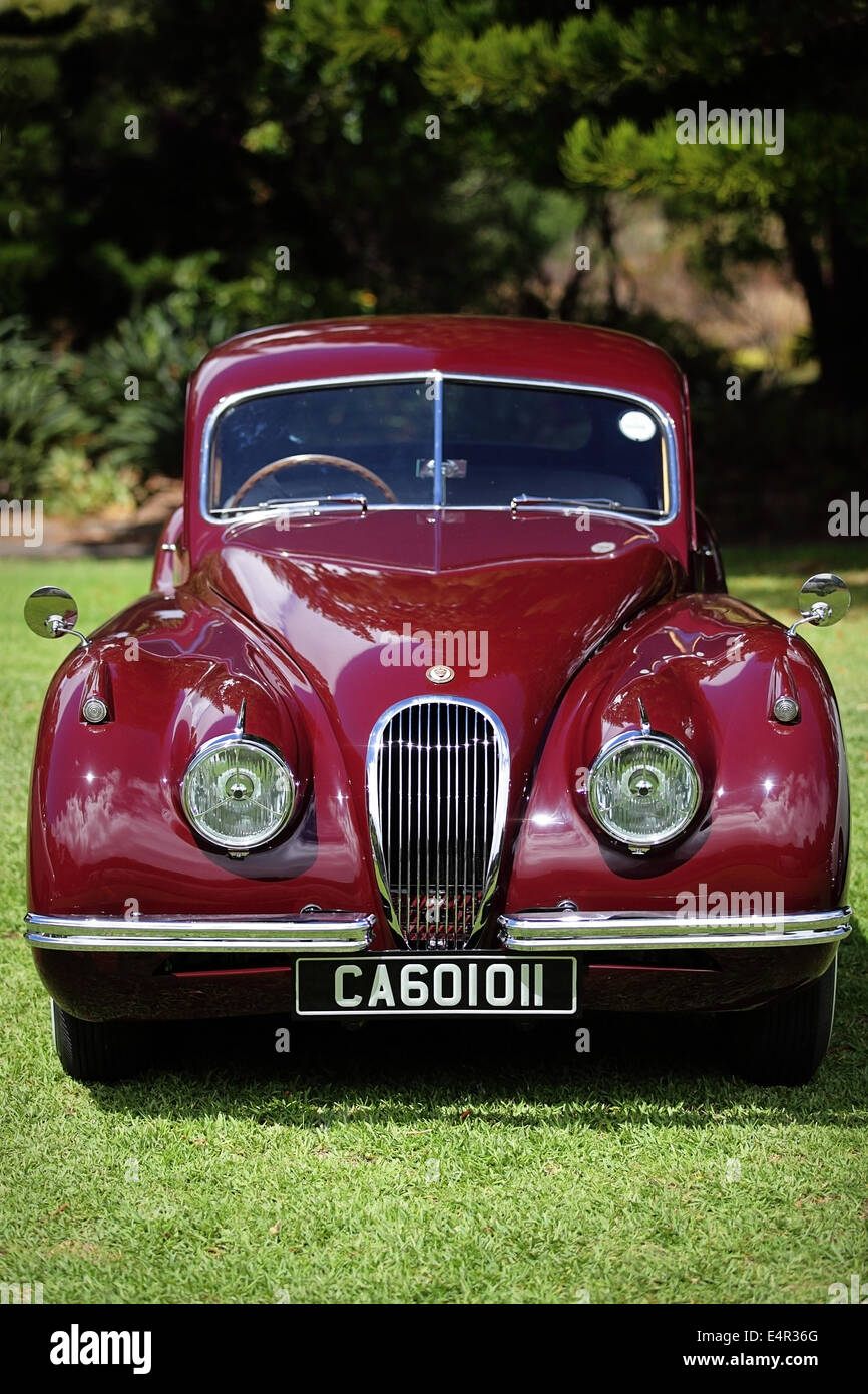 Vintage Jaguar maroon, front view Stock Photo - Alamy