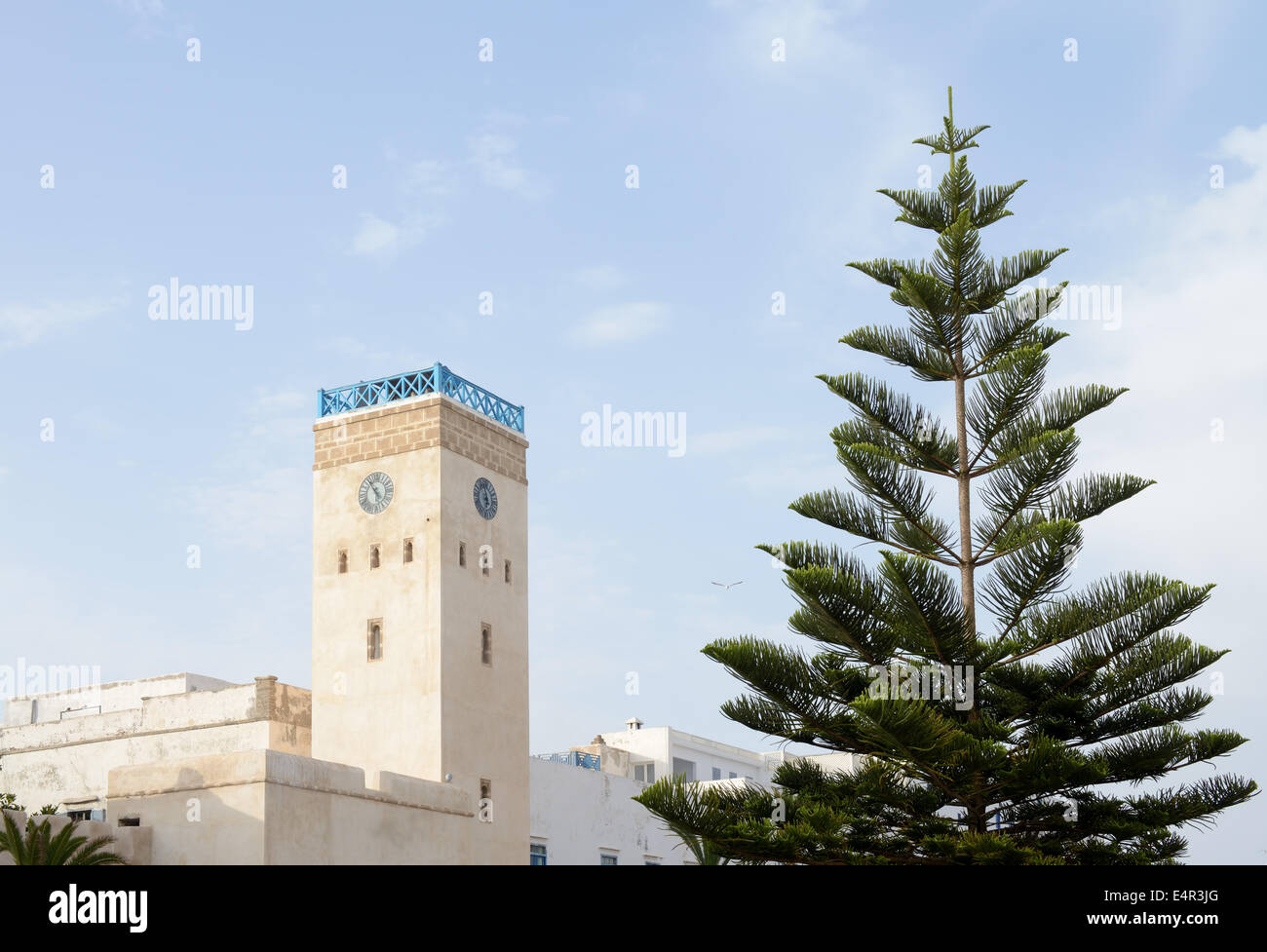 Clock tower and tree in Essaouira, Morocco Stock Photo - Alamy