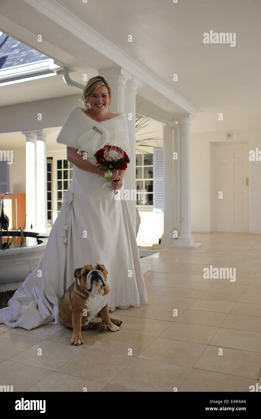 Bride and bulldog Stock Photo - Alamy