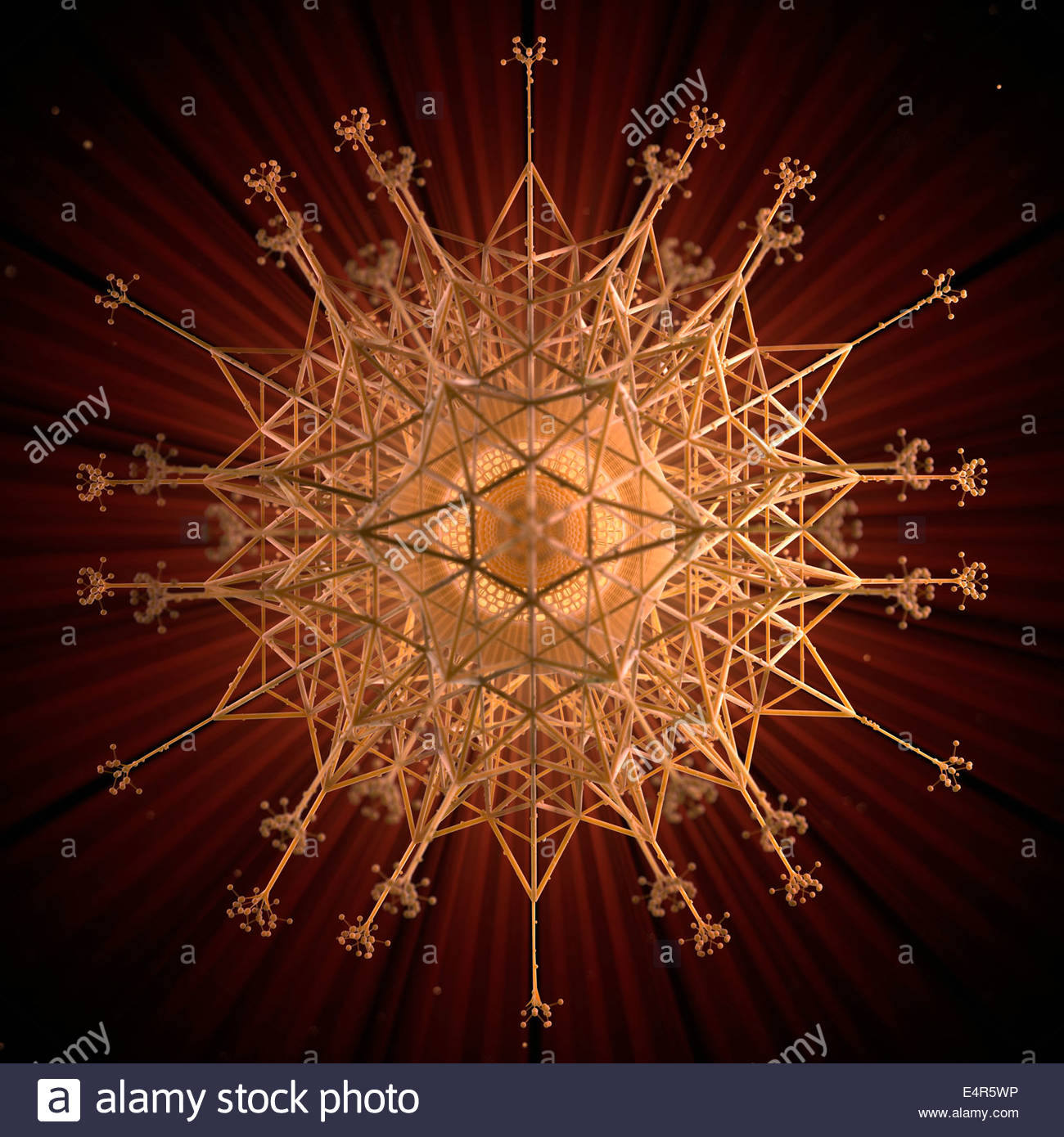 Radiolarian Stock Photos & Radiolarian Stock Images - Alamy