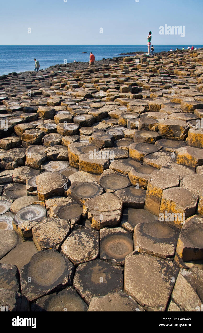People walking on Giant's Causeway, Northern Ireland Stock Photo - Alamy