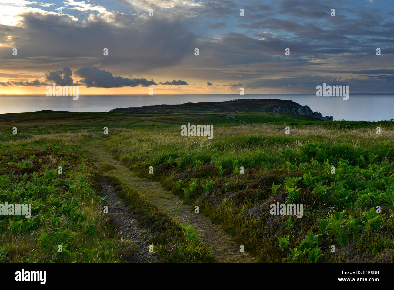 The north end of Lundy Island from Tibbets, Devon Stock Photo - Alamy