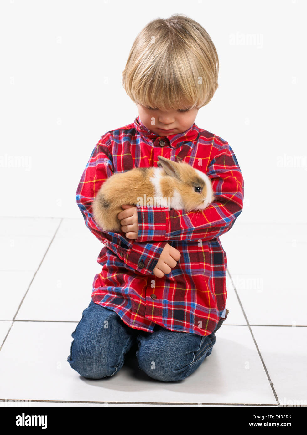 Boy with rabbit hi-res stock photography and images - Alamy