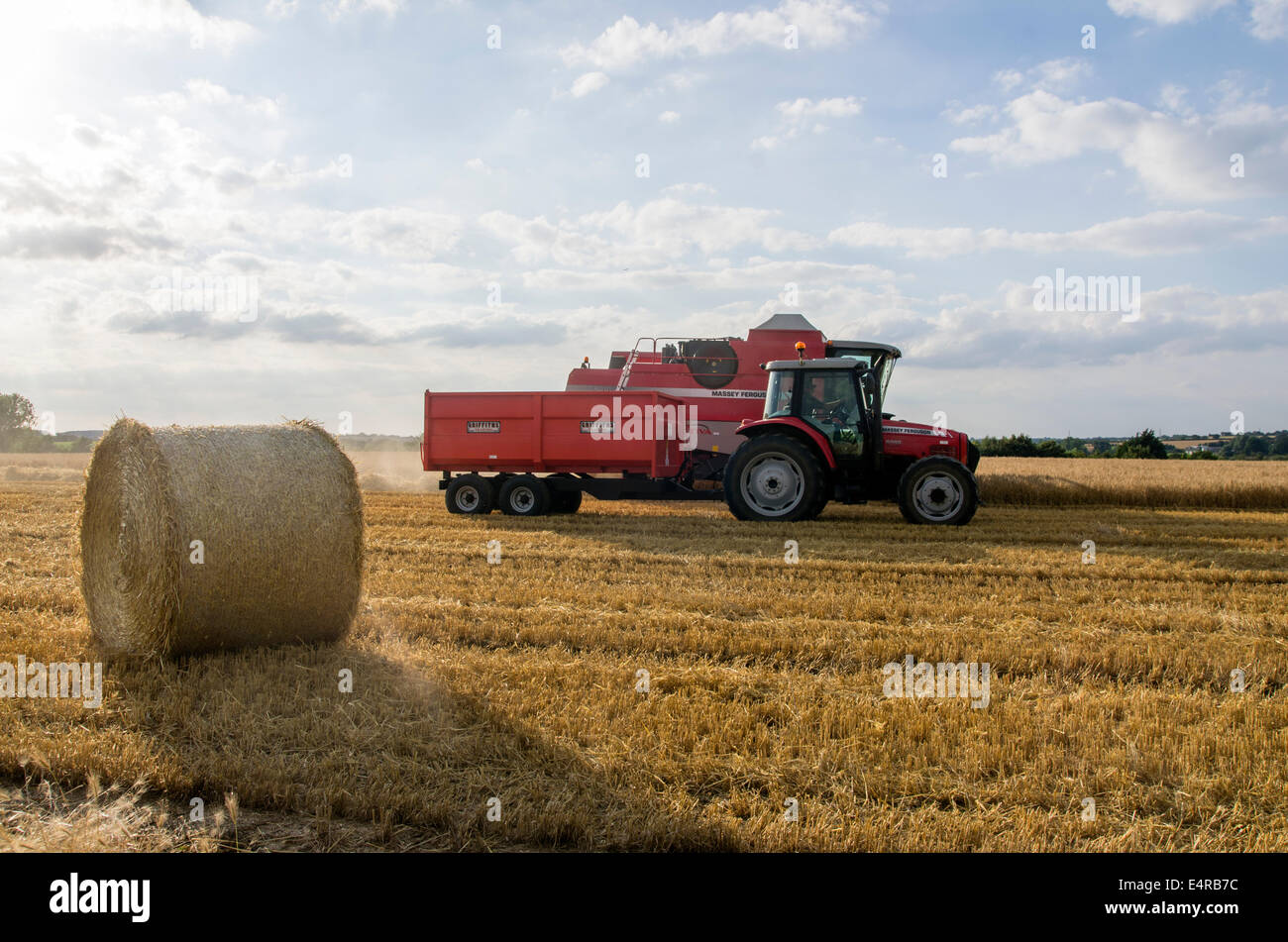 This is the harvesting of barley in Great Bardfield Essex UK on the ...