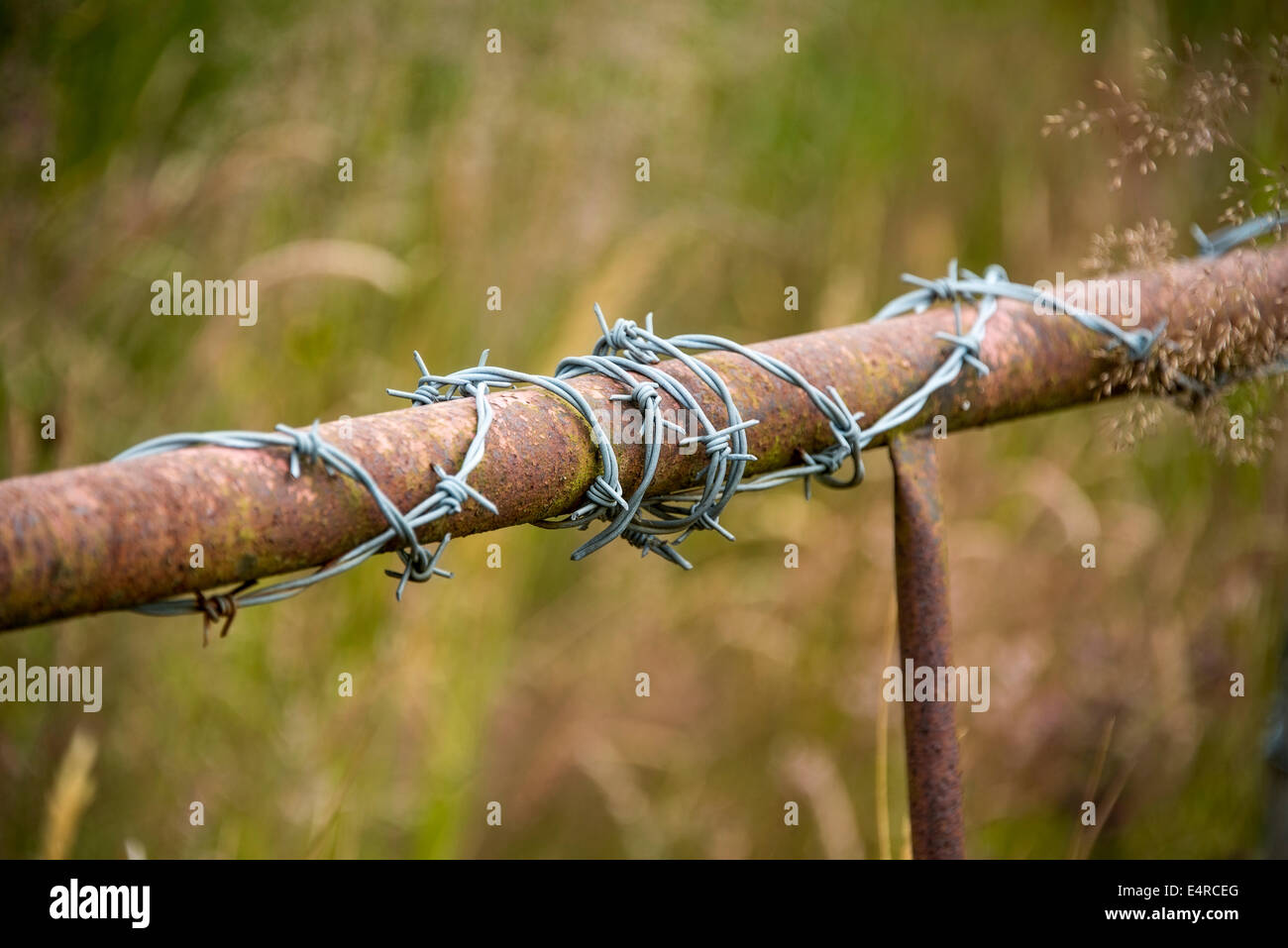 Barbed wire gate hi-res stock photography and images - Alamy
