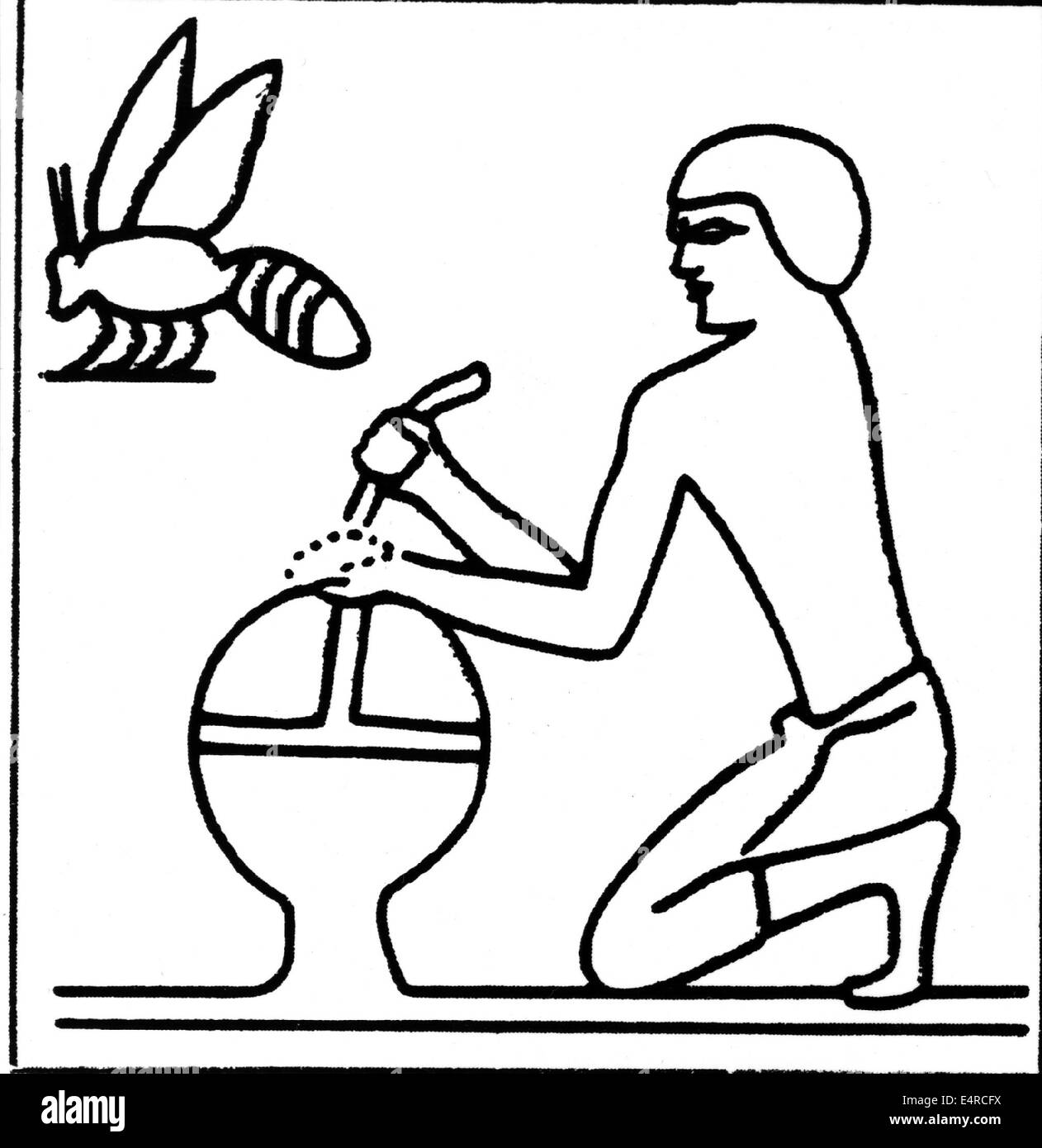 zoology, insects, bees, Honeybees (Apis mellifera), beekeeping, man ...
