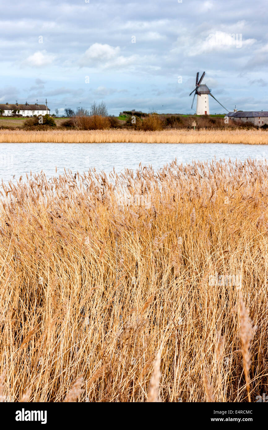 Rural Scene of Skerries Traditional Old Windmill Stock Photo - Alamy