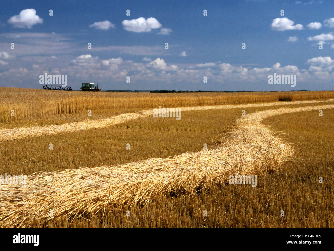Swathing hi-res stock photography and images - Alamy