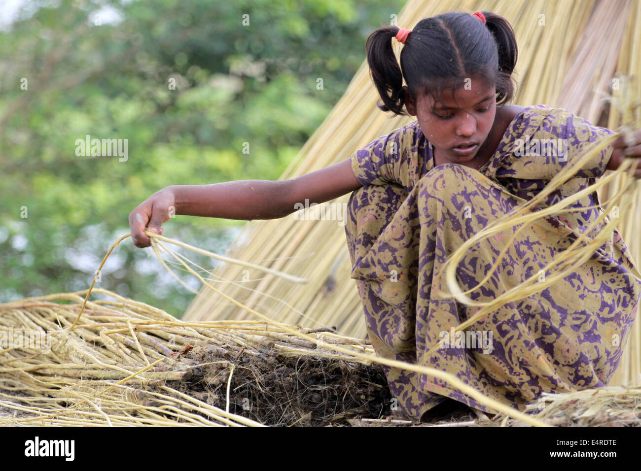 Fibre of jute hi-res stock photography and images - Alamy